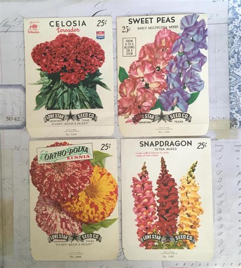 Seed Packets Empty 4 Vintage Flower Packets Snapdragon Sweet Peas