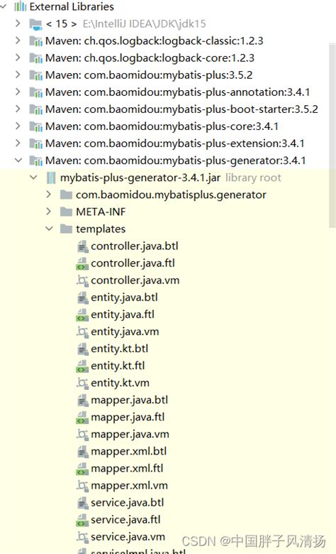 Mybatis Plus实现逆向生成器mybatisplus逆向生成 Csdn博客