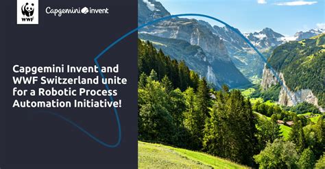 The Power Of Robotic Automation Transforming Internal Processes At Wwf