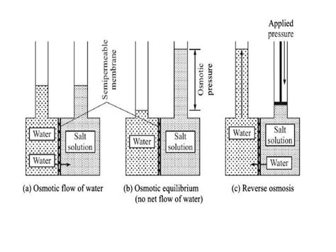 Membrane Separation Process Pptx Chemistry Science