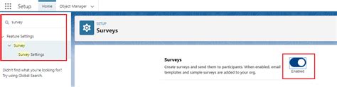 Survey A Guide To Salesforce Surveys