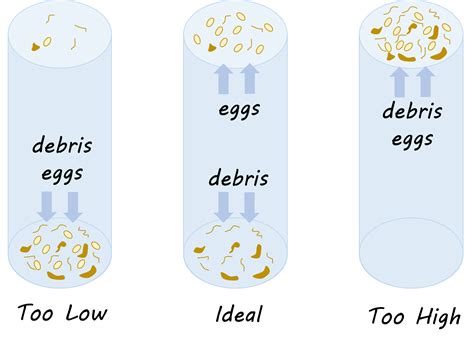 Diagnostic Parasitology Fecal Samples Common Floatation Solution For The Fecal Flotation