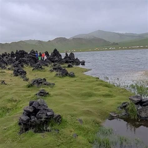 Бөөрөлжүүтийн рашаан нь 🔸️Үе мөчний болоод үений үрэвсэлт өвчин арьсны үрэвсэл элдэв харшил