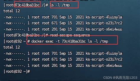Docker在linux上的安装与使用（亲测）linux安装docker Csdn博客