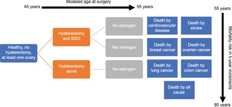 Schematic Of Revised Markov Model This Schematic Demonstrates The Download Scientific Diagram