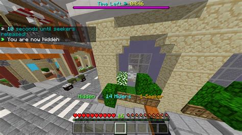 Hide And Seek Bug Closed Bug Reports The Hive Forums