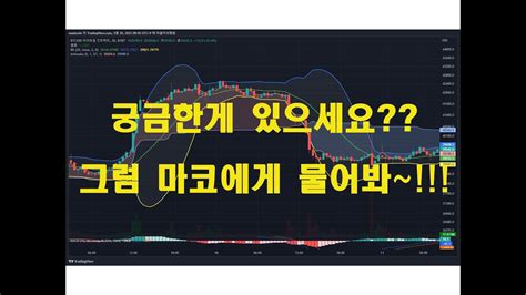 마동석코인 마코 궁금한게 있으세요 그럼 마코에게 물어봐~ 비트코인 리플 이더리움 마동석코인 비트코인가이드 마동석 알트코인 Bitcoin 실시간