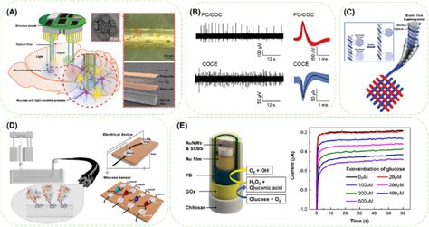 Conductive Fibers Acting As A Component In Implantable Bioelectronics Download Scientific