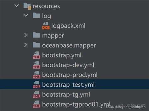 bootstrap yml does not support logback xml or logback spring xml