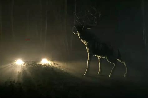 There Is Now A ‘bambi Horror Movie