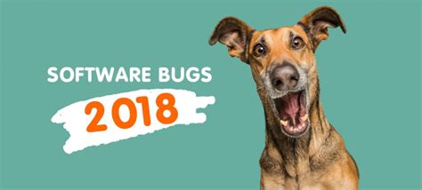 Top Software Bugs 2018 Qatestlab Blog