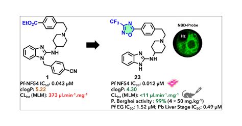 Novel 3 Trifluoromethyl 1 2 4 Oxadiazole Analogues Of Astemizole With Multi Stage Antiplasmodium