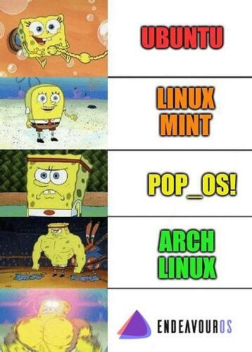 Share Your Linux Memes 635 By Ainz Lounge Endeavouros