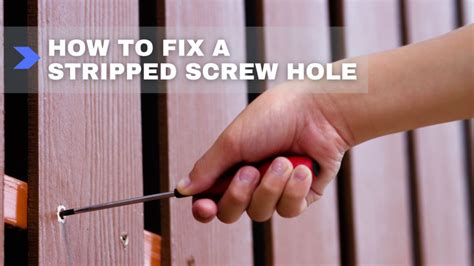 How To Fix A Door With Stripped Screw Holes At Clifford Ward Blog