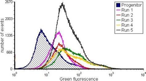 Histogram Of Facs Sorting The Random Library Was Subjected To Five Download Scientific Diagram
