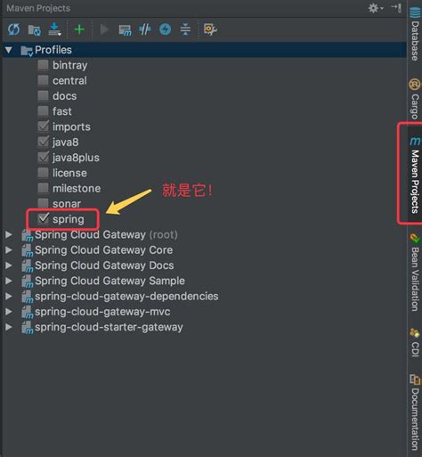 Spring Cloud Gateway 源码解析 —— 调试环境搭建 芋道源码 —— 纯源码解析博客