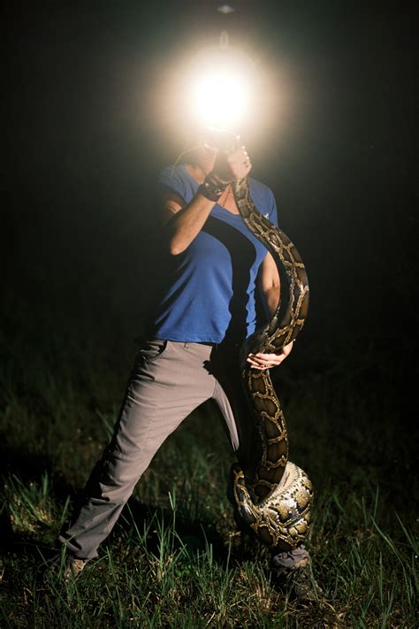 Florida Has A Python Problem—are Bounty Hunters The Solution National Geographic