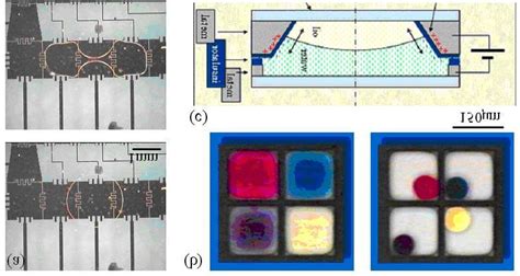 1 Electrowetting Applications A The Ucla Lab On A Chip System Download Scientific Diagram