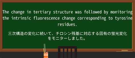 【英単語】intrinsic Fluorescenceを徹底解説！意味、使い方、例文、読み方 おもしろい英文法