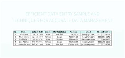 efficient data entry sample and techniques for accurate data management