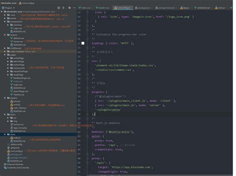 Nuxtjs Ssr实战与优化 Csdn博客