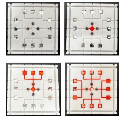 3d Printed Chip Sensor Detects Foodborne Pathogens For Safer Products