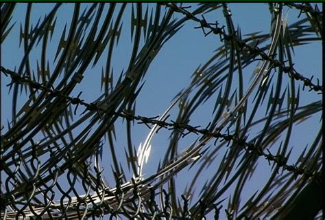 Shocking Stats From Erie County Prison Erie News Now Wicu And Wsee