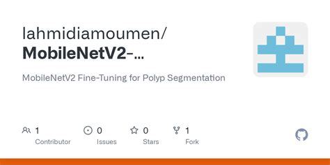 GitHub Lahmidiamoumen MobileNetV Segmentation MobileNetV Fine Tuning For Polyp Segmentation