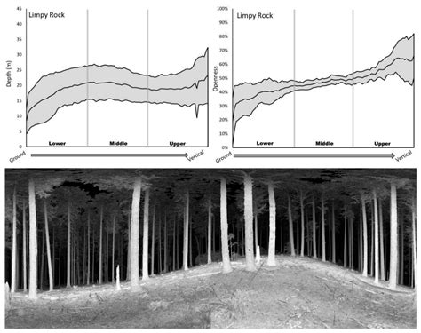 Remote Sensing Free Full Text New Structural Complexity Metrics For Forests From Single