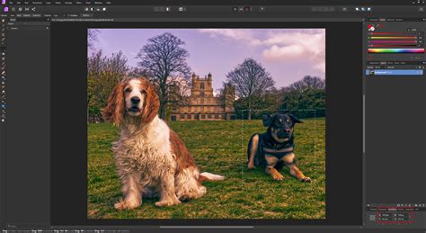how to display pixel coordinates for selections within an image pre