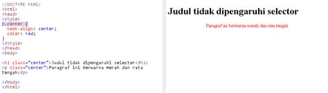 Cara Mudah Menggunakan Selector Pada Bahasa Program Css Techforid