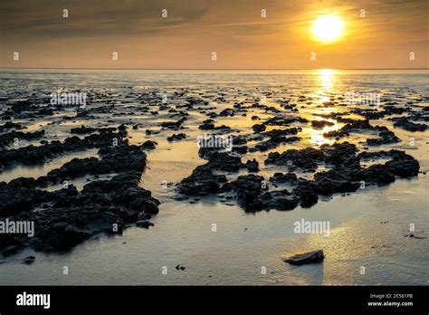Breathtaking View Of Mudflat Of The Waddenzee During Low Tide Under Amazing Sunset Sky With