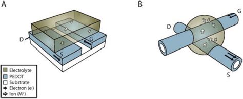 Device Structure Of A Planar Left And Wire Right Organic Download Scientific Diagram
