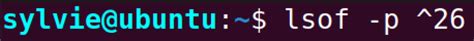 The Lsof Command In Linux Practical Examples