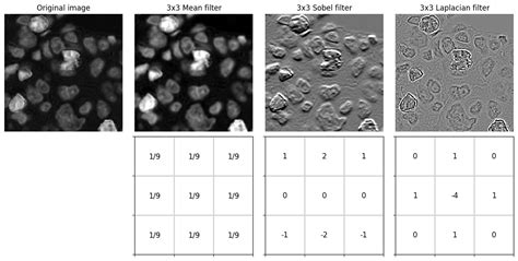 Image Processing Overview Image Processing Glossary