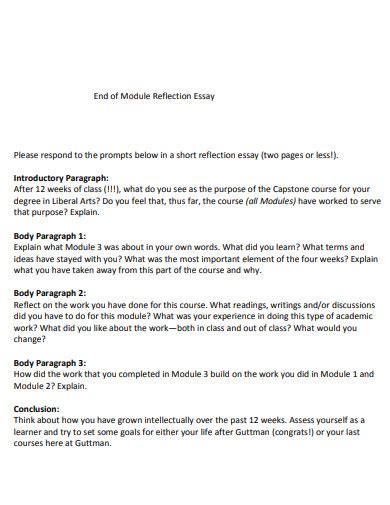 23 Reflection Essay Examples To Download