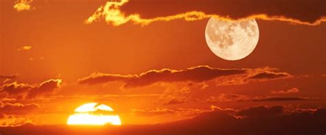 პროზა Pankisi Ge