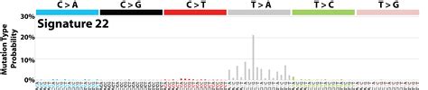 Cosmic Signatures Of Mutational Processes In Human Cancer