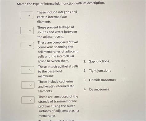 Solved Match The Type Of Intercellular Junction With Its