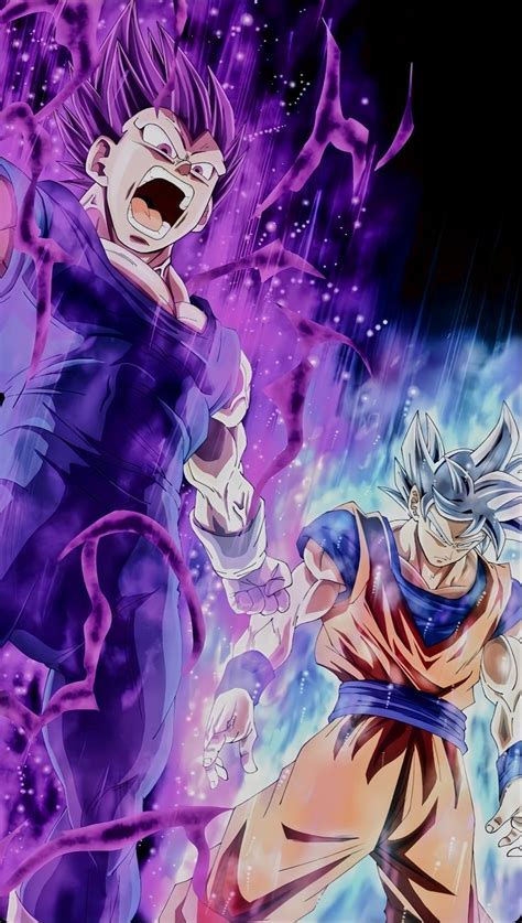 Ultra Ego Vegeta And Ultra Instinct Goku Hd Wallpaper Anime Dragon