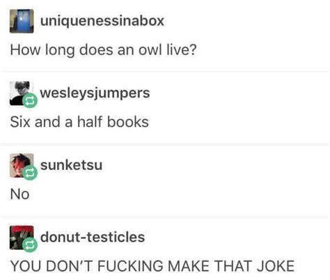 DON T MAKE THAT FUCKING JOKE R Tumblr