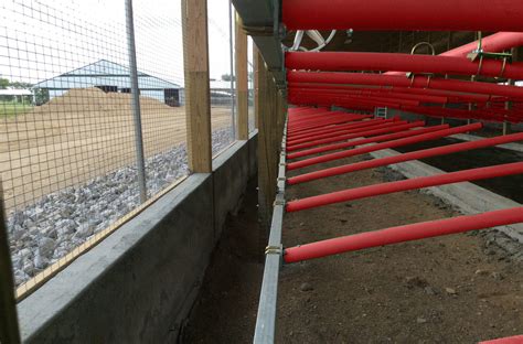 Horizontal Rail Cow Stalls MI IN WI Foxworthy Supply