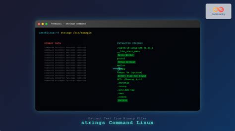 Regex in Linux: Complete Guide to Regular Expressions and Pattern Matching - CodeLucky