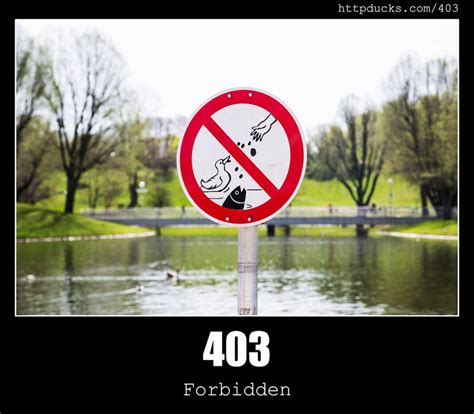 403 forbidden status code and cats