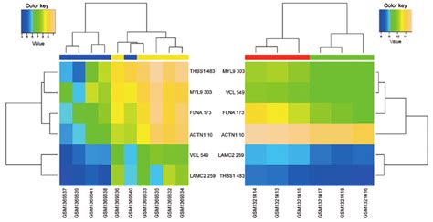 Bidirectional Hierarchical Clustering Analysis Of Differently Expressed
