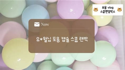 유월님 스쿱랜박•캡슐스쿱•포용•포용계•랜덤박스 Youtube