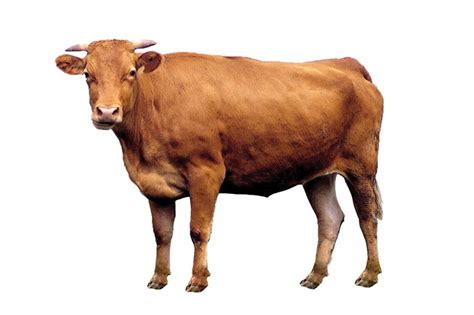 영남일보 사람과 지역의 가치를 생각합니다