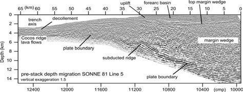 13 prestack depth migration of sonne 81 line 5 showing the subducted
