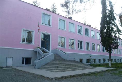 შაშიანის სკოლის მოსწავლეებმა მორიგ წარმატებას მიაღწიეს ეტალონი