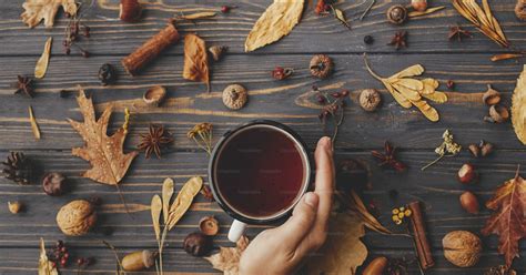 아늑한 가을날 소박한 어두운 나무에 단풍 열매 견과류 아니스 도토리 솔방울을 배경으로 따뜻한 차 한잔을 들고 있습니다